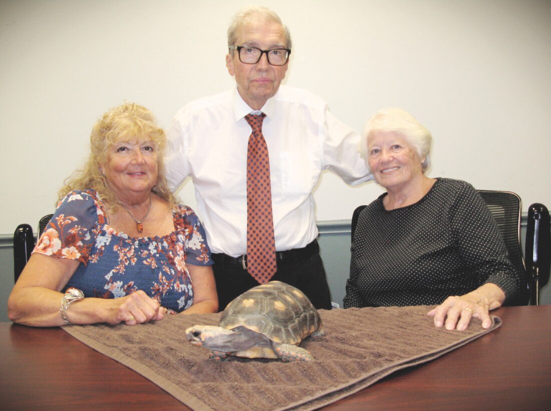Sammy comes home: Lost tortoise reunited with grateful owner | News ...